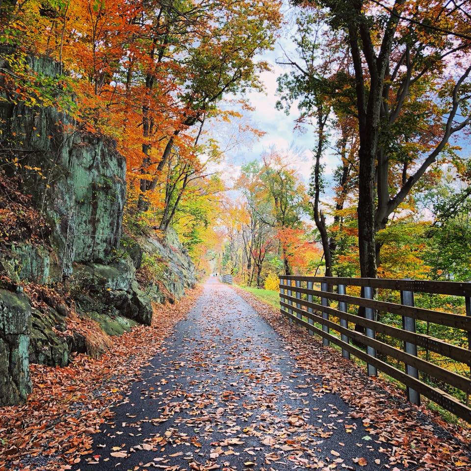 Chester Creek Trail – Rail Trail in Delaware County, Pennsylvania