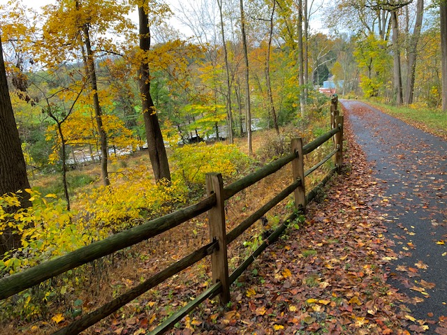 Fall Photos – Chester Creek Trail