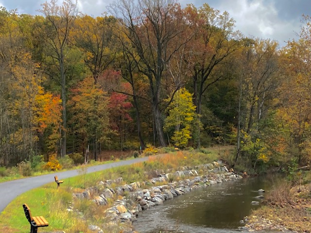 Fall Photos – Chester Creek Trail