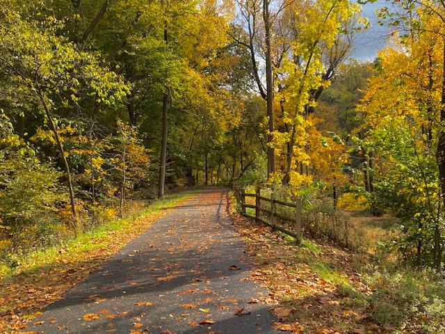 Fall Photos – Chester Creek Trail