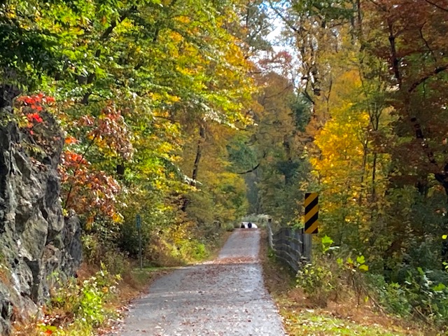 Fall Photos – Chester Creek Trail